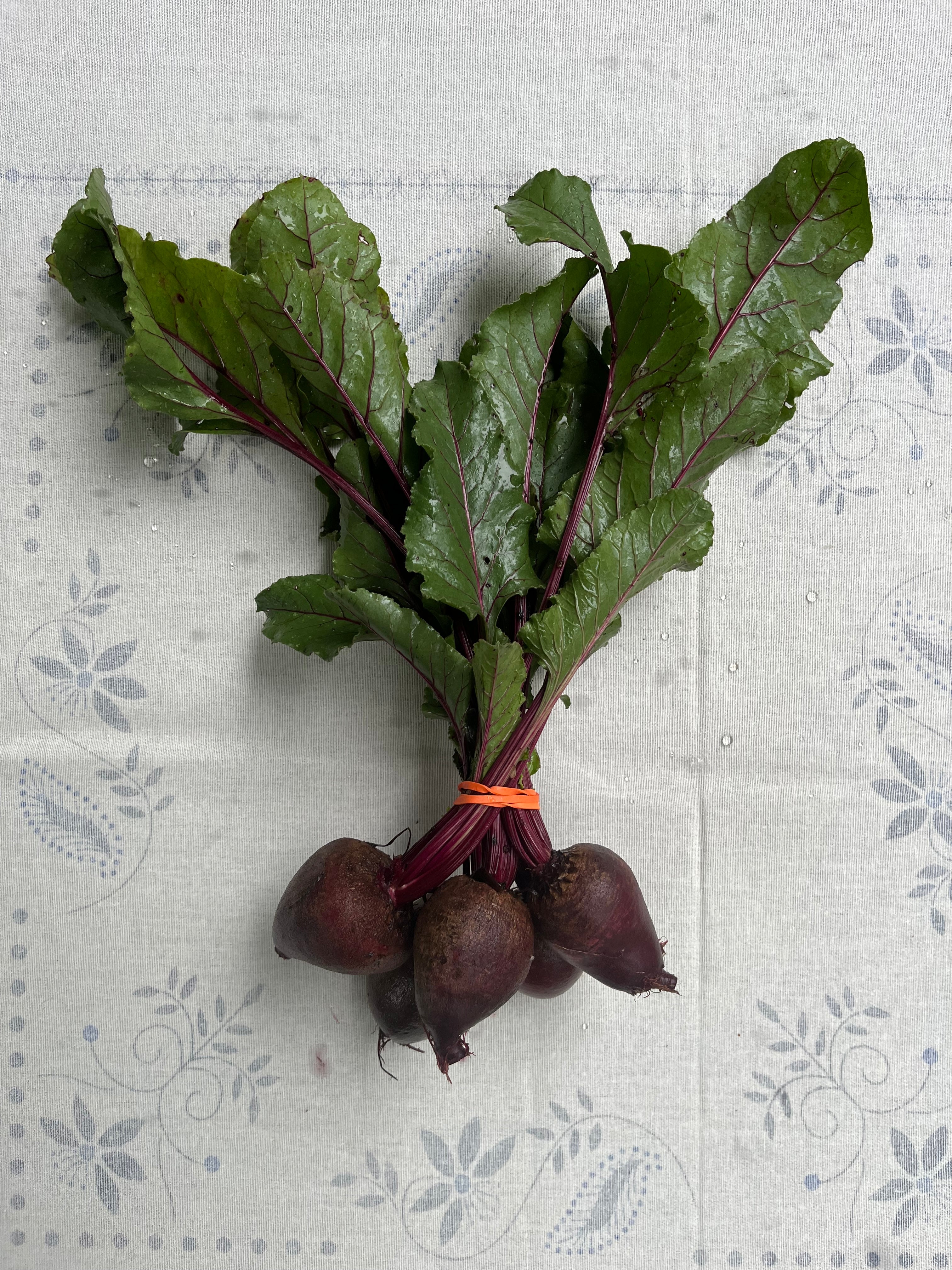 Beets – Vernon Street Farm
